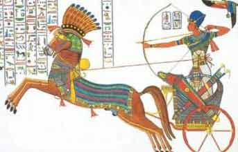Profile: Ramesses II