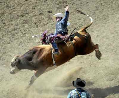 Sports Lessons: Manly Bull Riding