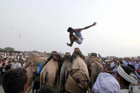 Sports Lessons: Camel Jumping