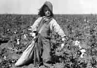 Leadership and Picking Cotton | Leadership in Action