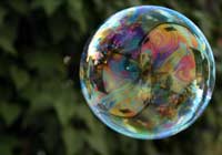 Leadership in a Bubble | Leadership in Action