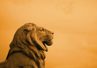 Principles of Moral Courage | Leadership in Action