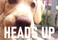 Douglas R. Satterfield