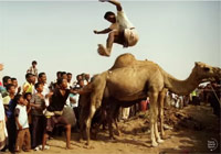 Camel Jumping: Who Knew | Leadership in Action