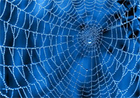 How I Think and the Spiderweb Approach | Leadership in Action